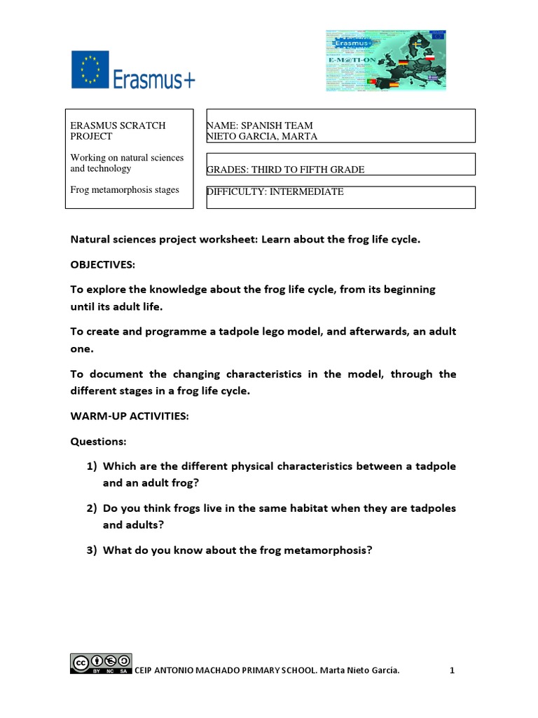 SPANISH TEAM - Lego WeDo - Frog Project | PDF | Frog | Learning