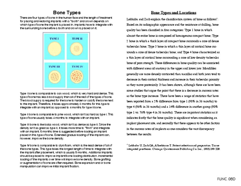 Bone Types PDF | PDF | Dental Implant | Bone