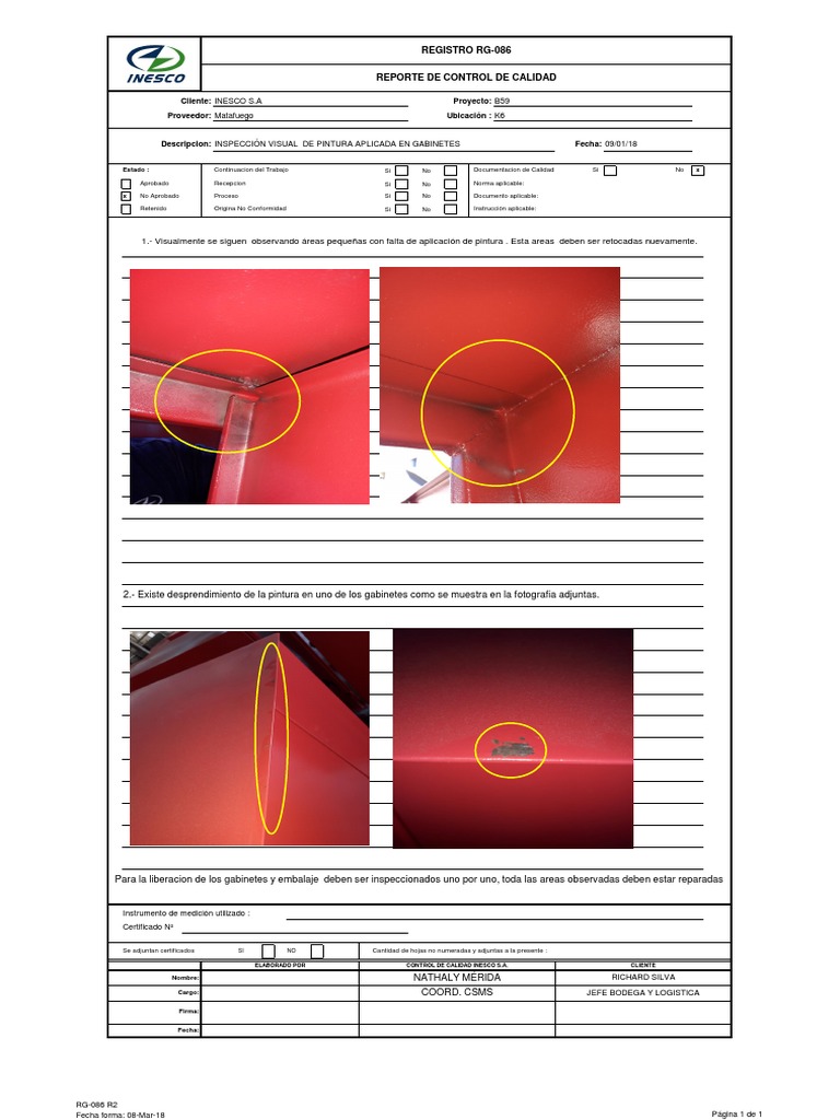 Copia de Reporte de Control de Calidad - Inspección Visual de Pintura ...