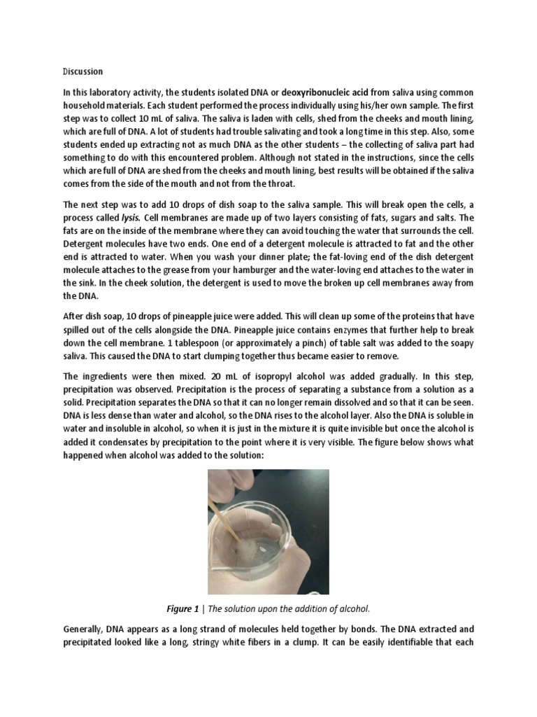 DNA Extraction Lab | PDF | Dna | Solubility