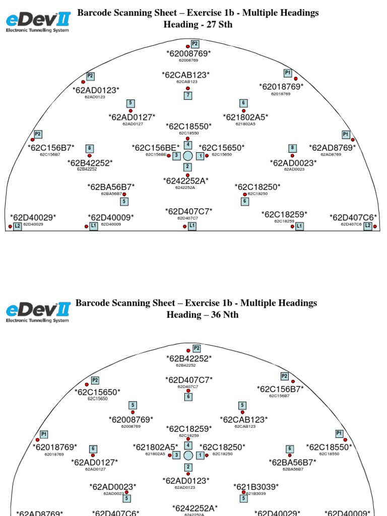 EDevII AUS Training Scanning Exercise - BARCODES | PDF