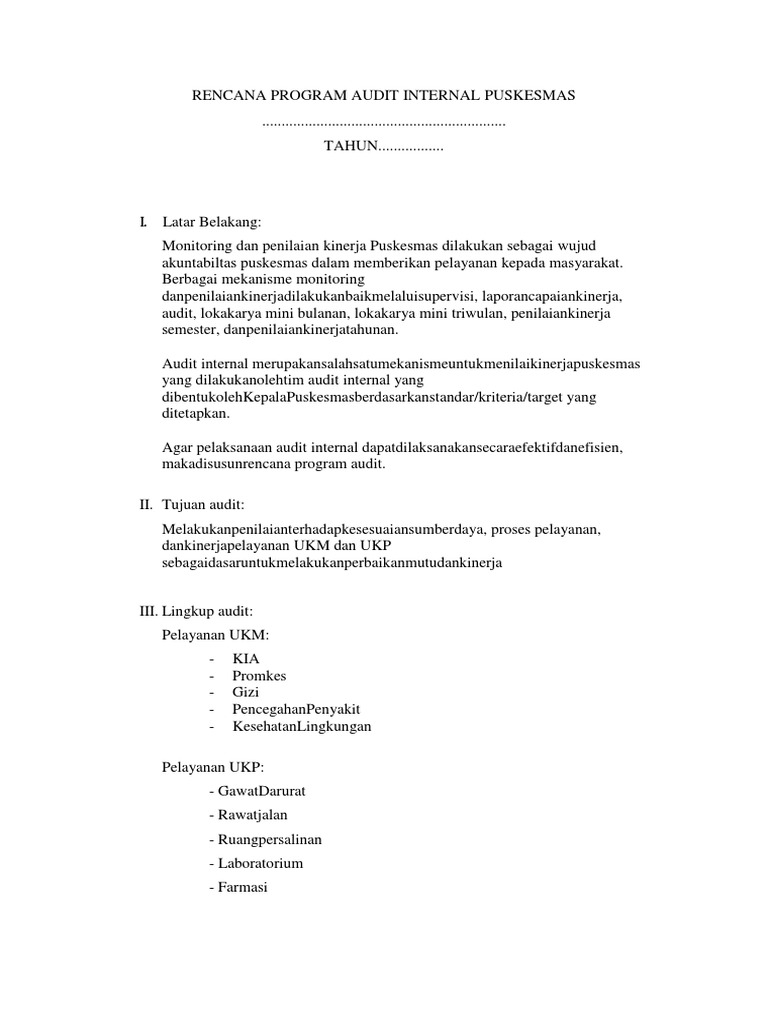 Contoh Template Rencana Program Audit Internal Puskesmas Dan Instrumen Audit | PDF