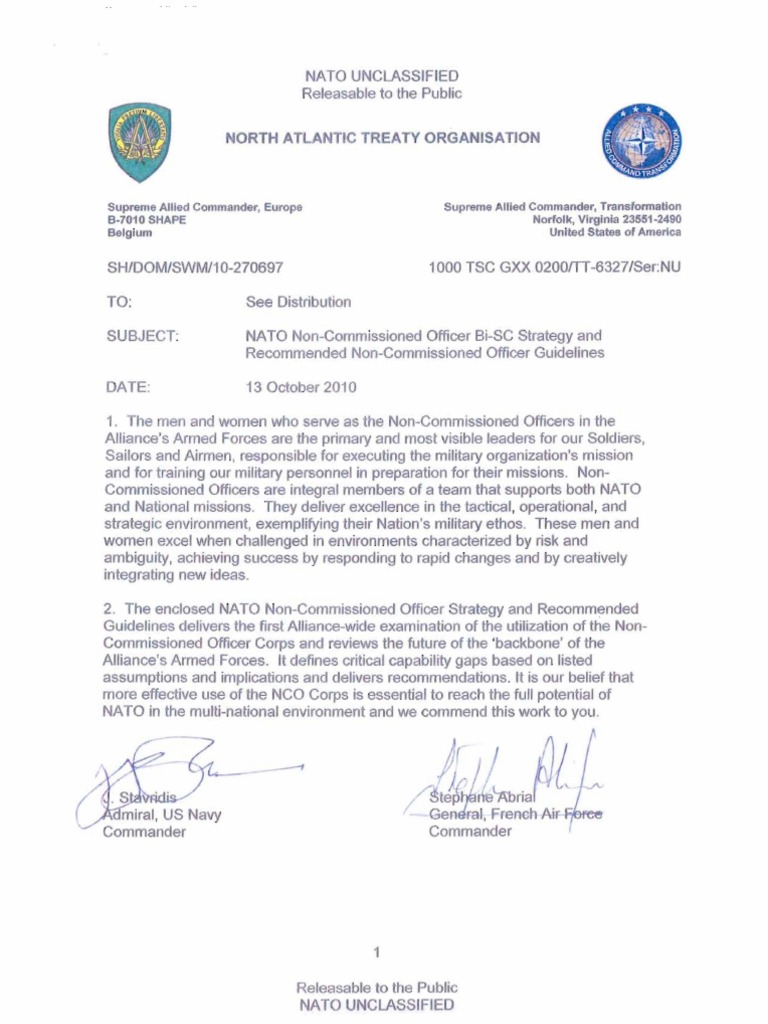 NATO NCO Bi-SC Strategy and Recommended NCO Guidelines | Non ...