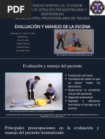 Dcap BLS Tic | PDF