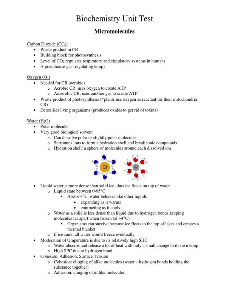 Biochemistry Unit Test | PDF | Endoplasmic Reticulum | Active Site