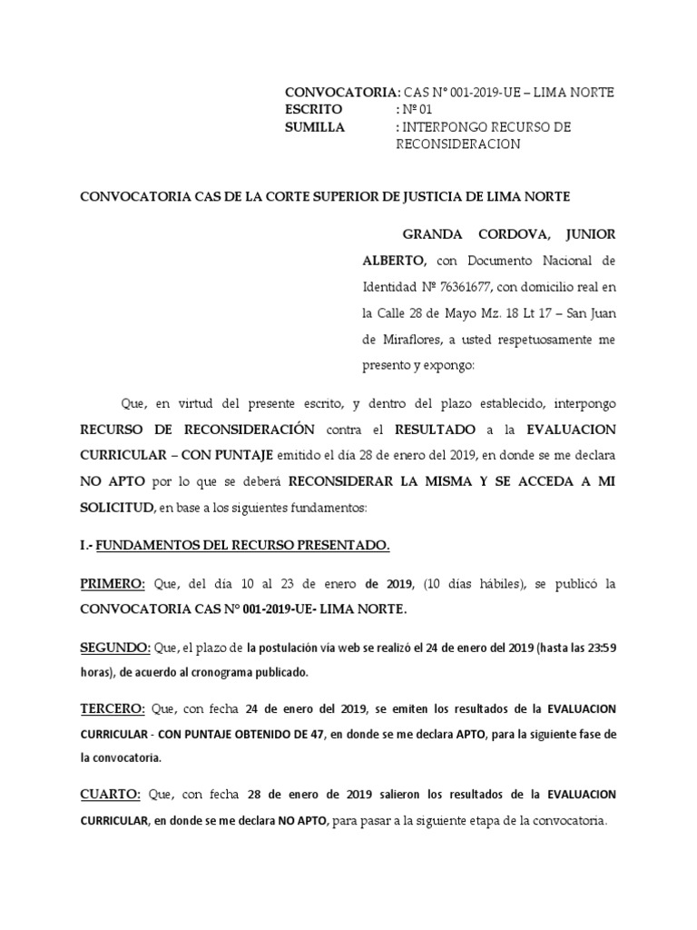 Recurso de Reconsideracion | PDF | Gobierno