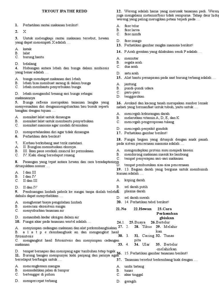 Tryout Ipa Kelas 6 | PDF