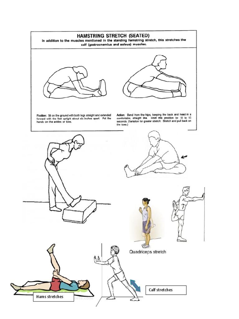 AKPS Exercises | PDF | Foot | Anatomical Terms Of Motion