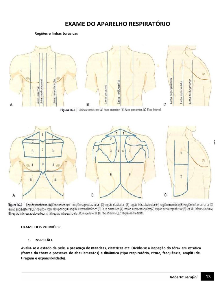 RESUMO Tórax | Bronquite | Coração