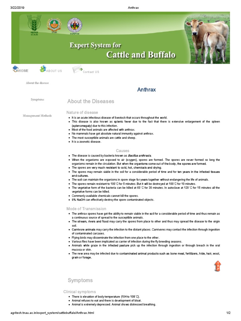 Anthrax | PDF | Anthrax | Animal Diseases