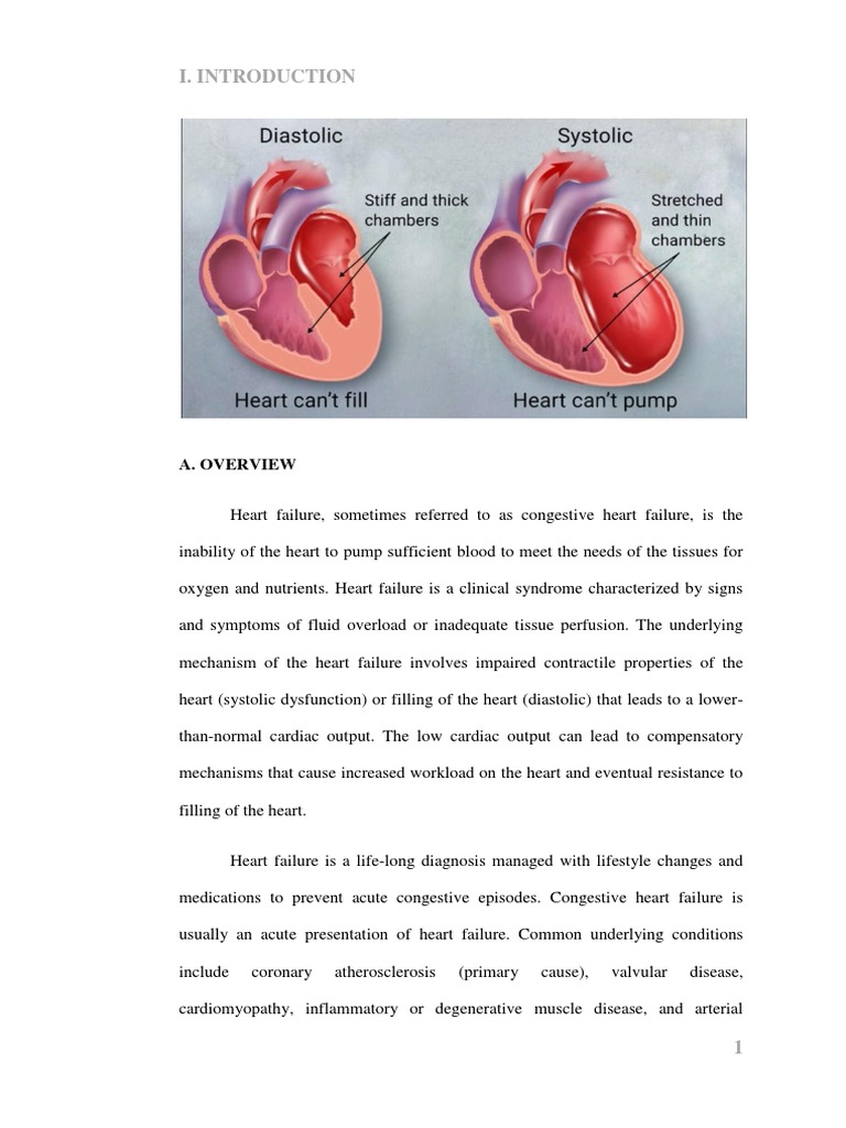 CHF Revised | PDF | Heart Failure | Heart Valve