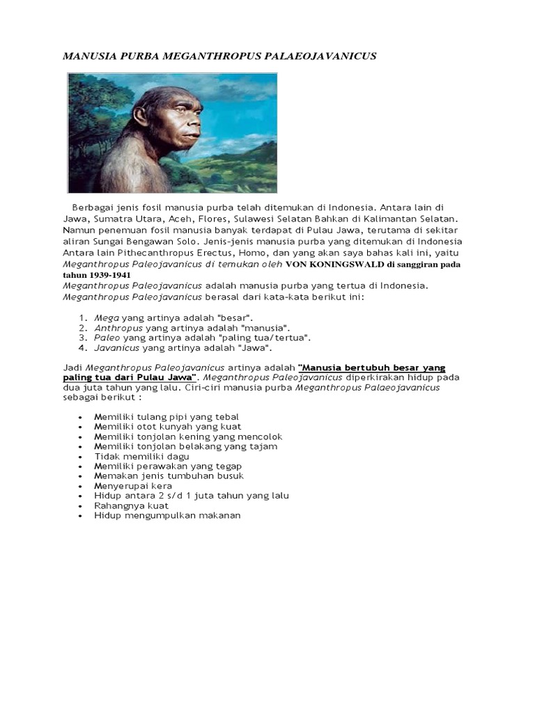Manusia Purba Meganthropus Palaeojavanicus | PDF