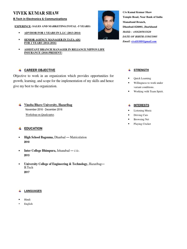 Vivek Resume | PDF | Career & Growth