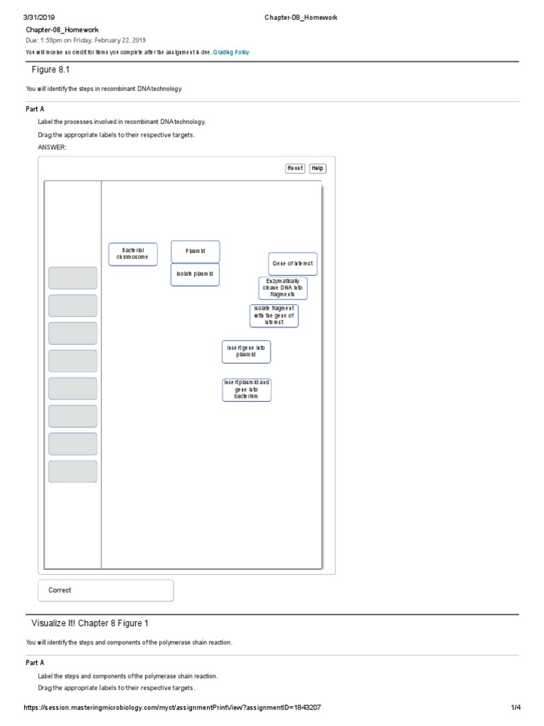 Chapter 8 Homework | PDF
