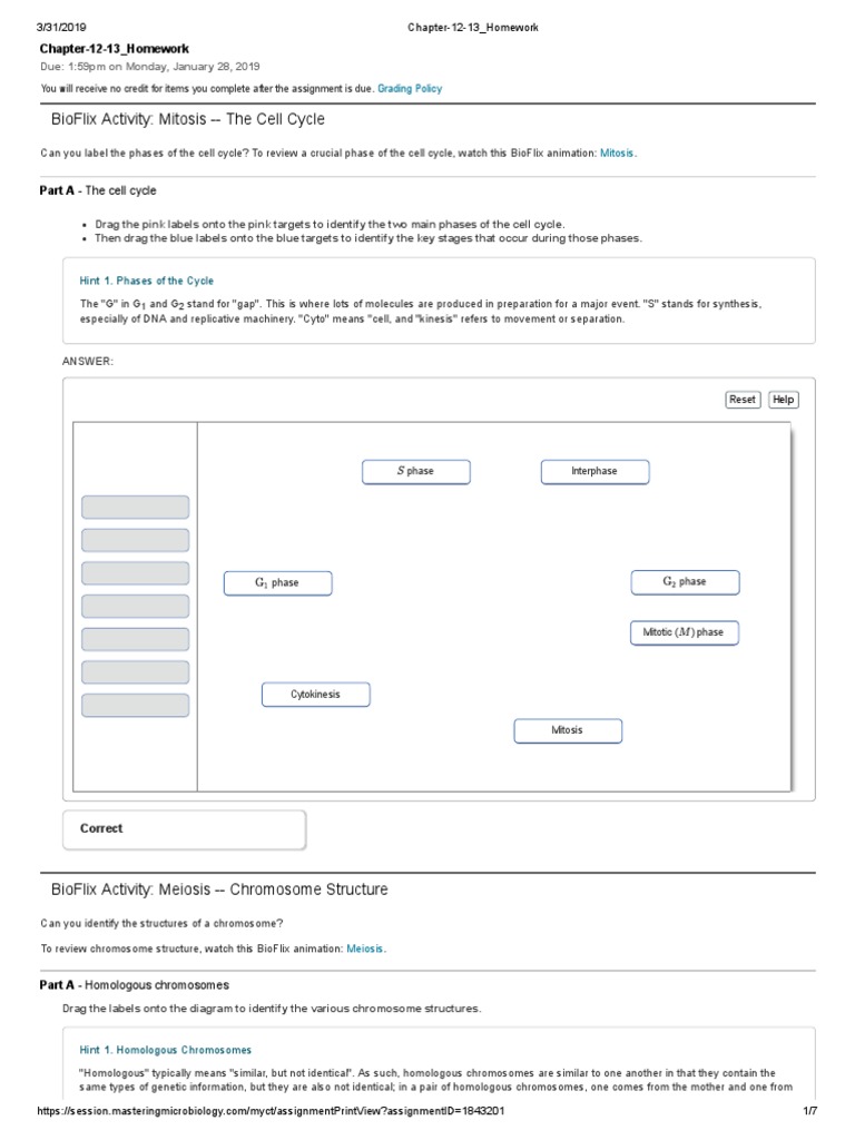 Chapter 12-13 Homework | PDF | Bacteriophage | Cell Cycle