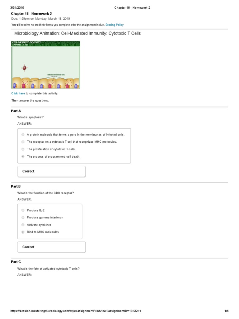 Chapter 16 Homework Part II | PDF | Cytotoxic T Cell | T Cell