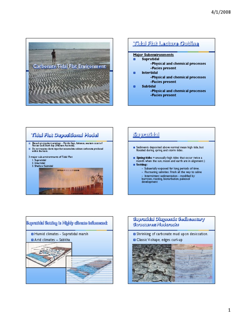 Carbonate Tidal Flat Environments Overview | PDF | Sedimentary Rock | Tide