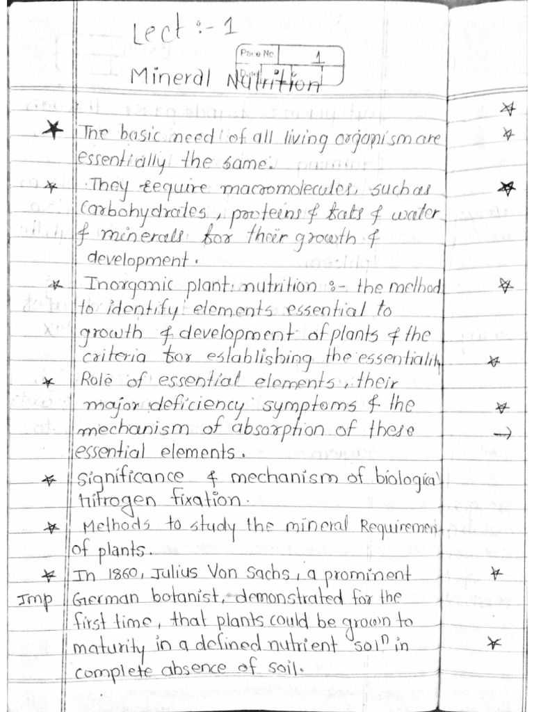 Mineral Nutrition Handwritten Notes PDF | PDF