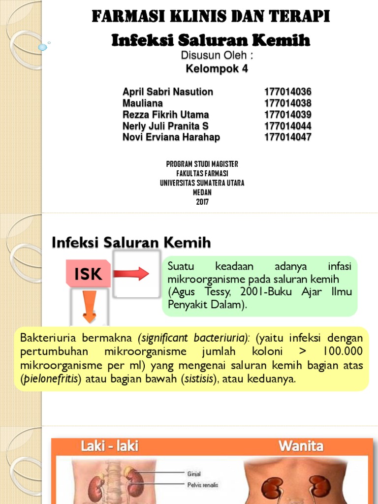Epidemiologi dan Terapi ISK | PDF