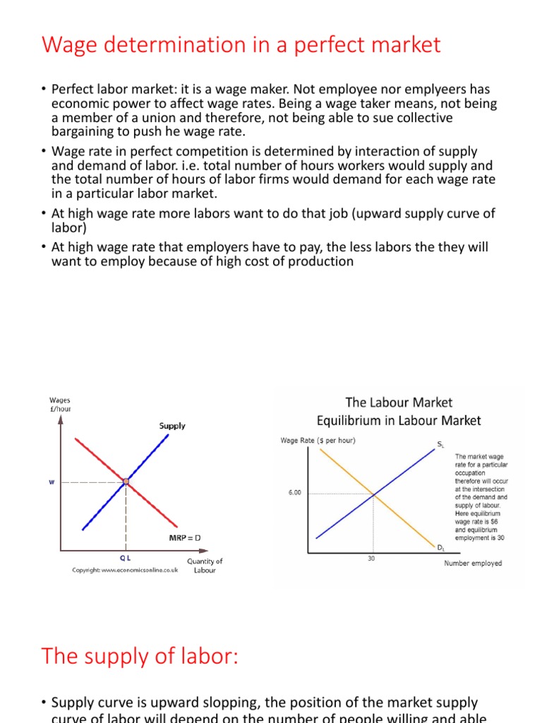 Determination of Wages in Perfect and Imperfect Labor Markets | PDF ...