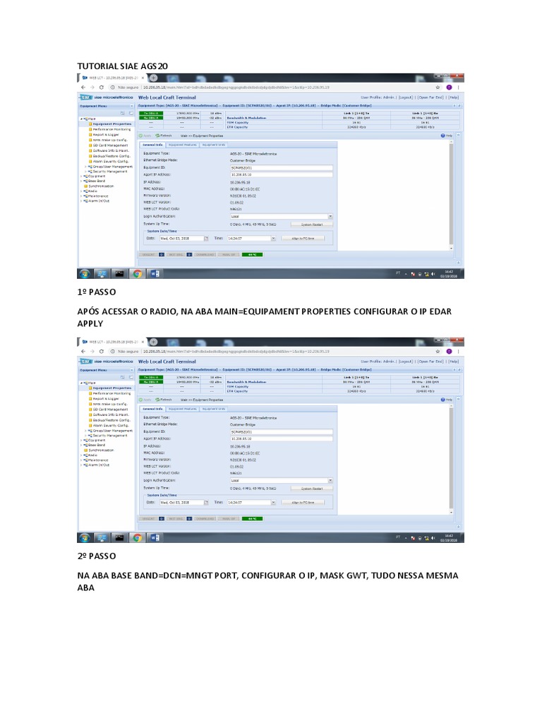 Tutorial Gerencia Siae Ags20 | PDF | Computadores | Tecnologia e Engenharia