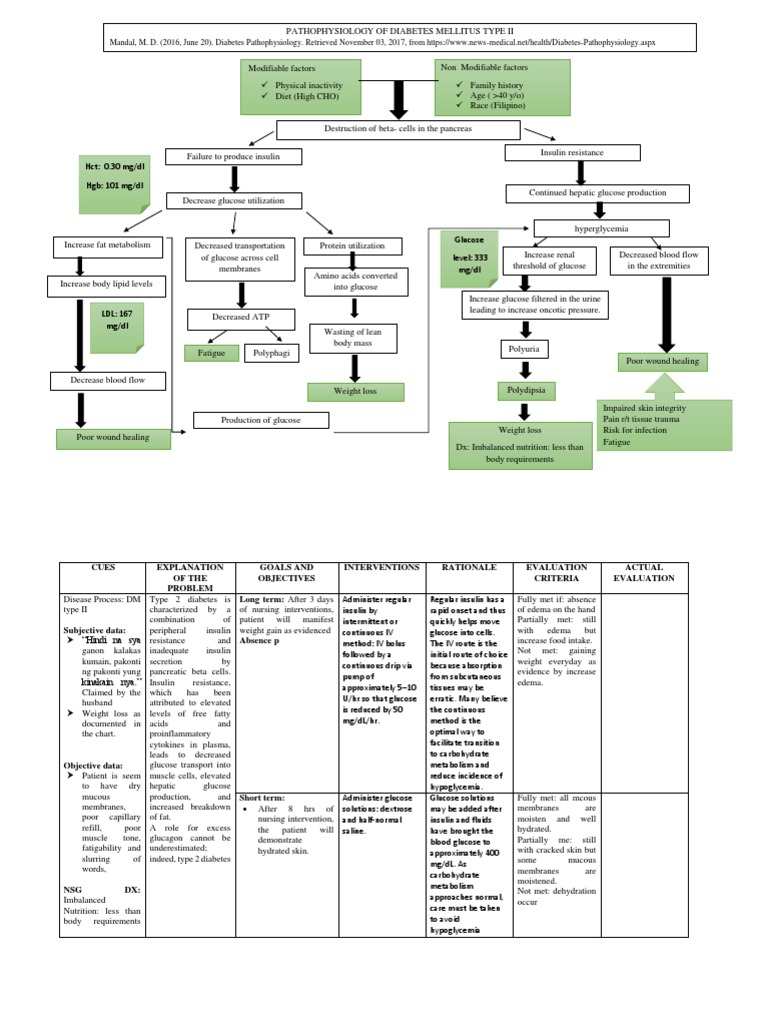 NCP DM Ii Part 2 | PDF | Diabetes Mellitus Type 2 | Diabetes Mellitus