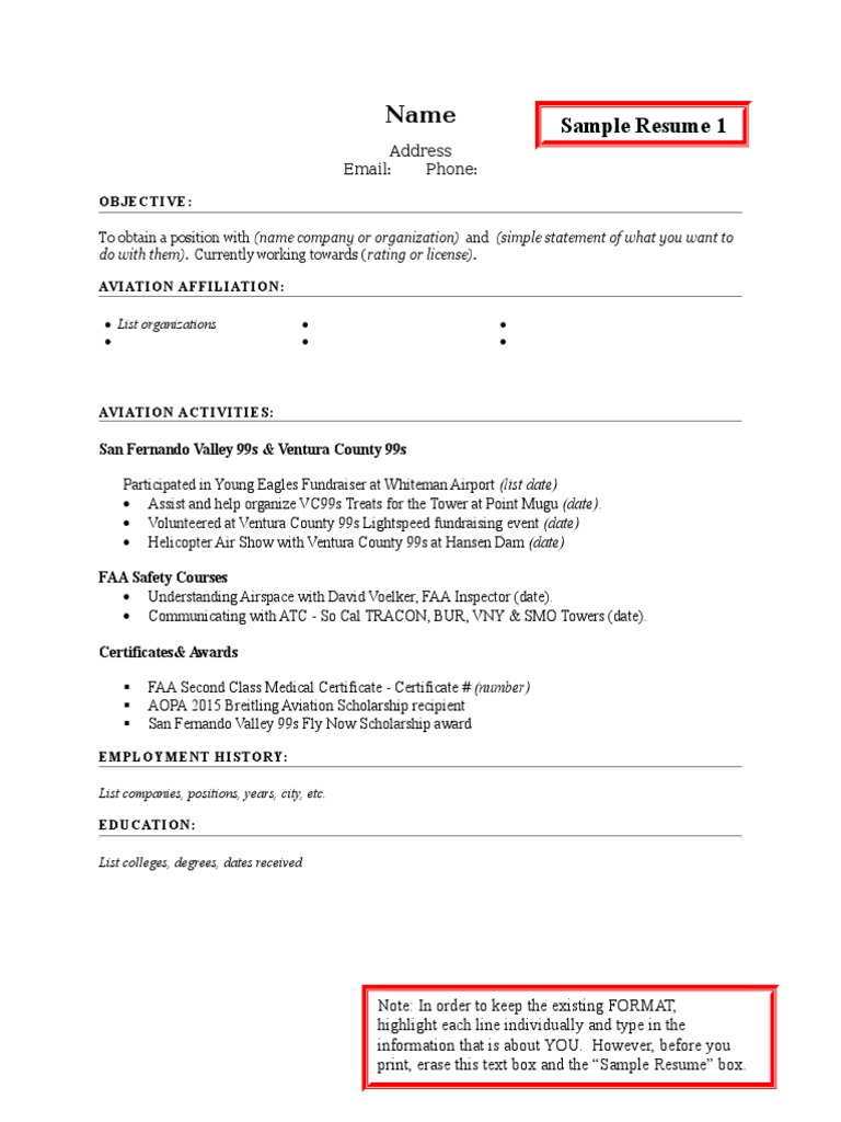 Sample Aviation Resume 1 | PDF