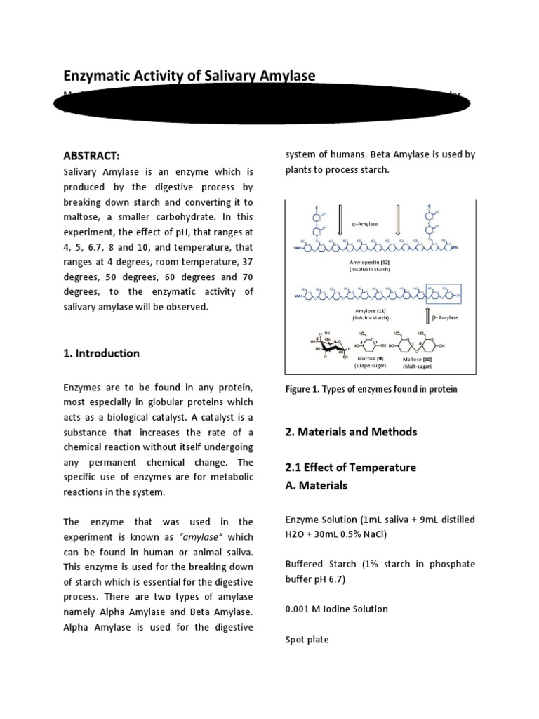 Enzymatic Activity of Salivary Amylase: Abstract | PDF | Enzyme | Starch