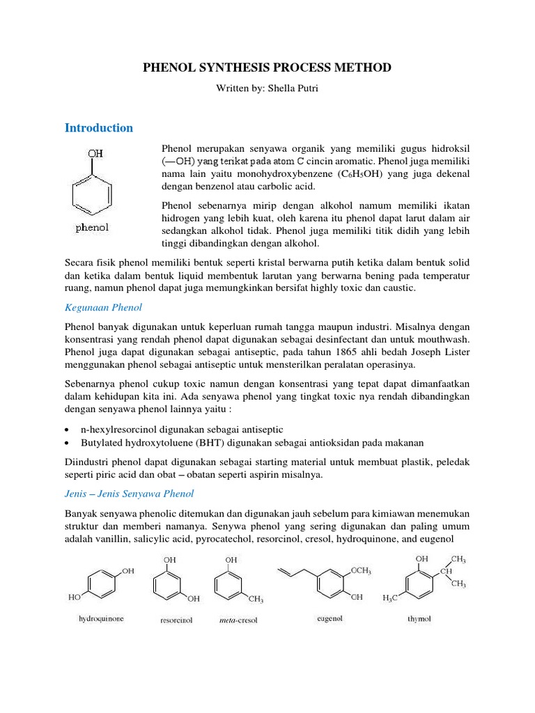Phenol Synthesis Process Method | PDF