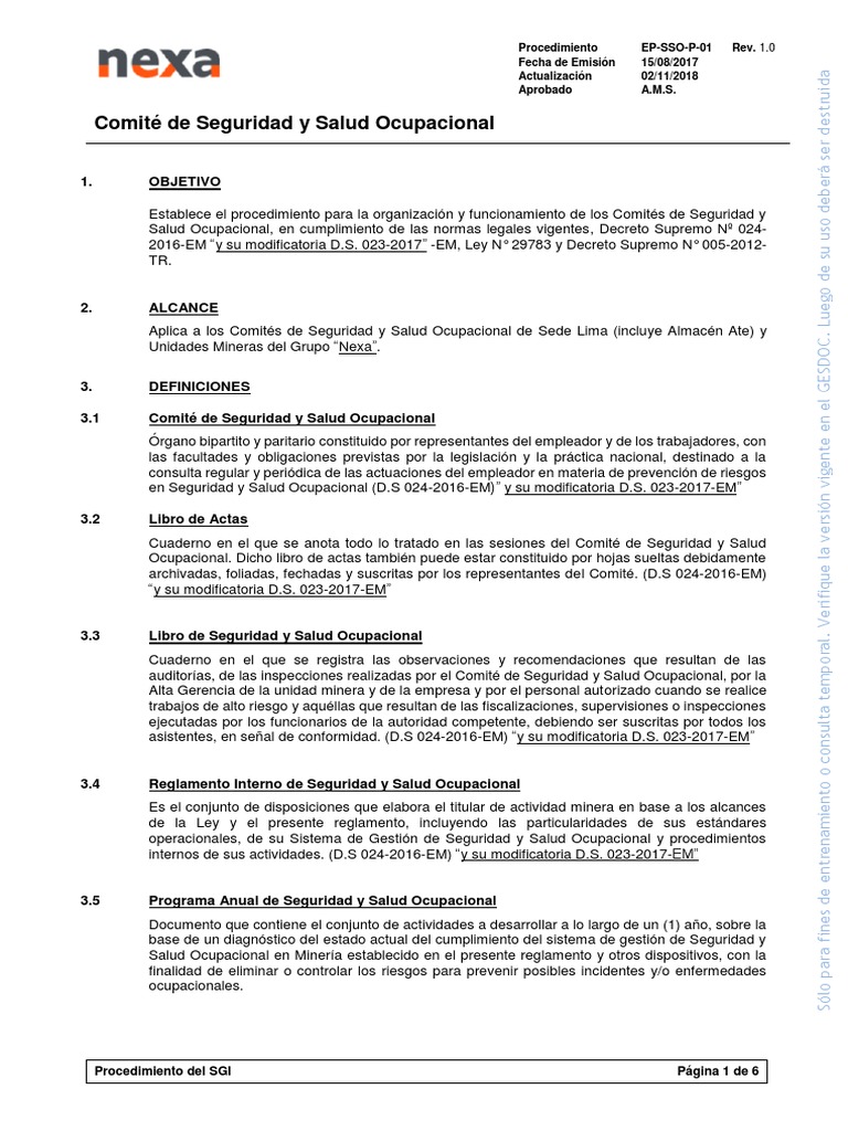 EP-SSO-P-01 Comite de Seguridad y Salud | PDF | Regulación | Minería