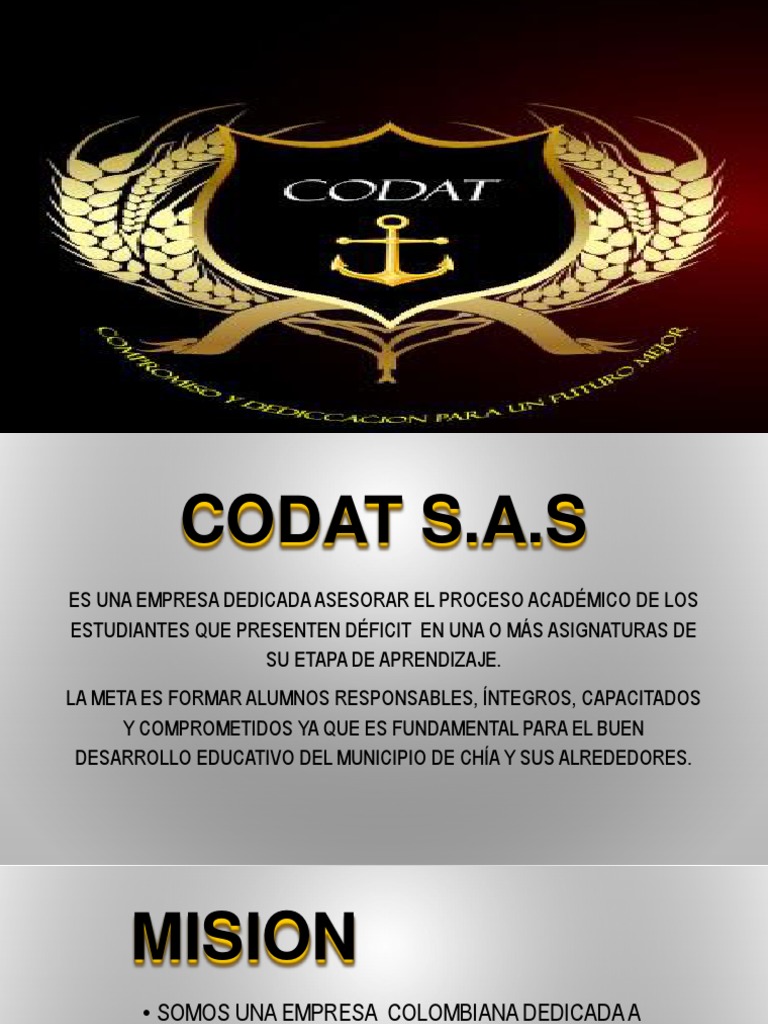 Proyecto Codat para Exponer Final.20 | PDF | Marketing | Economias