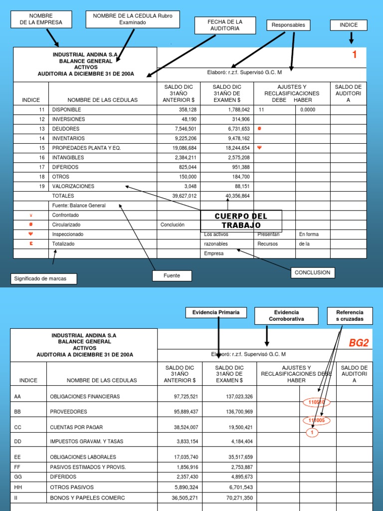 Auditoria Formato de Cedulas | PDF | Economias | Business