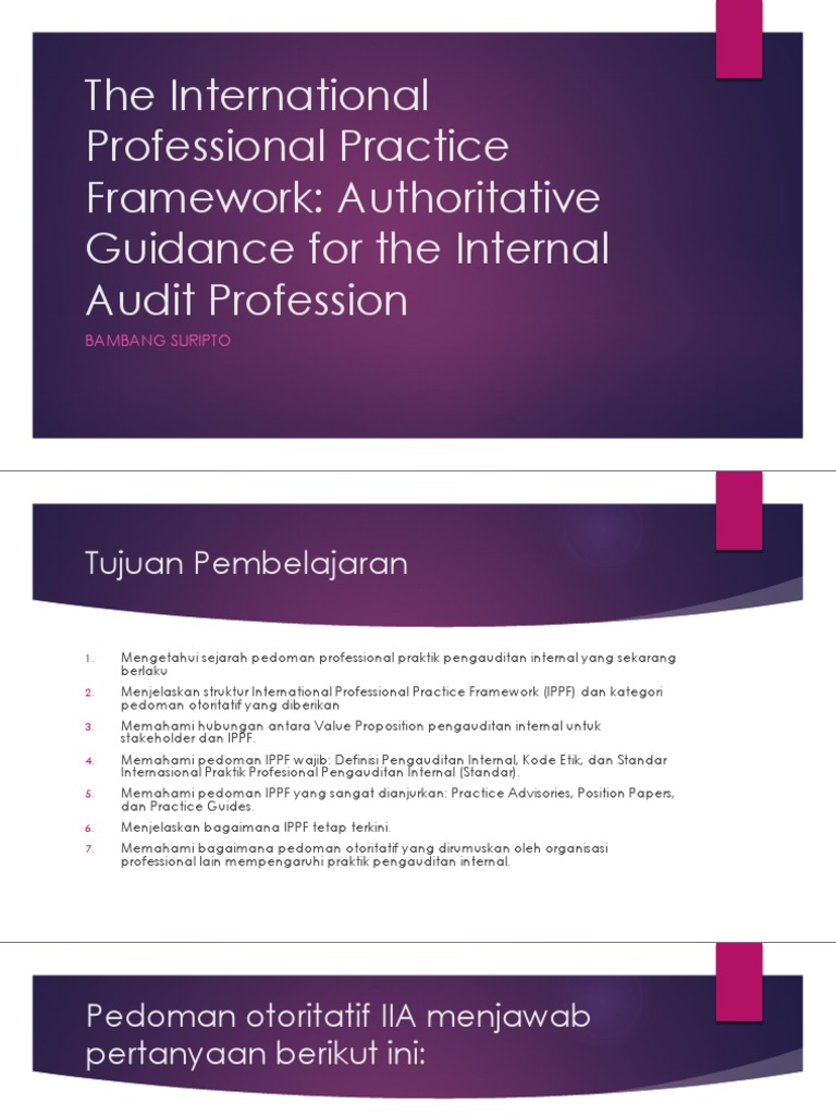 The International Professional Practice Framework | PDF