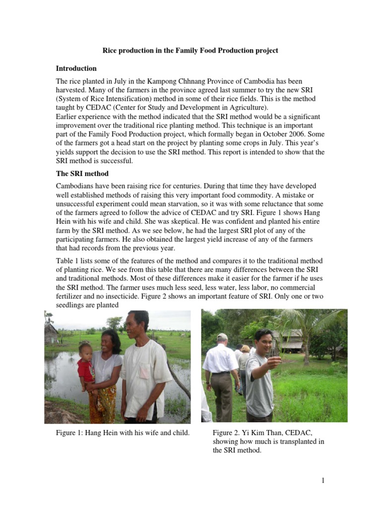 Rice Production in The Family Food Production Project | PDF | Seedling ...
