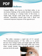 Neurodynamic Techniques (1) - David Butler & NOI Group | PDF ...