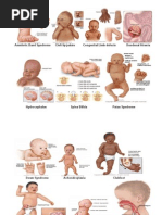 Neonatal Energy Triangle Part 1 | PDF | Hypoglycemia | Health Sciences