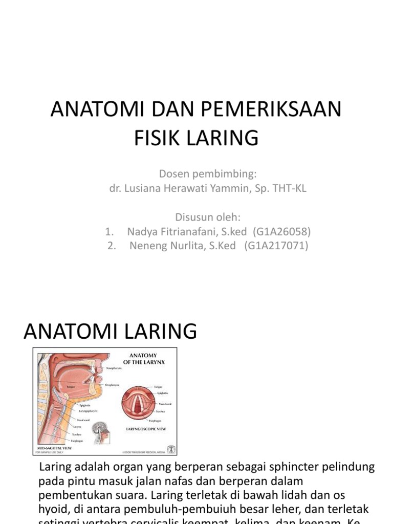 Fix Anatomi Dan Pemeriksaan Fisik Laring | PDF | Ilmu Sosial