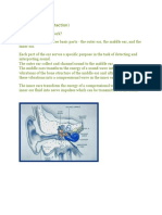 Noise Questionnaire | PDF | Audiology | Hearing