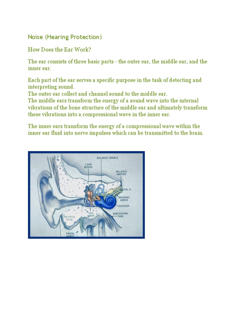 Noise (Hearing Protection) | PDF | Hearing Loss | Noise