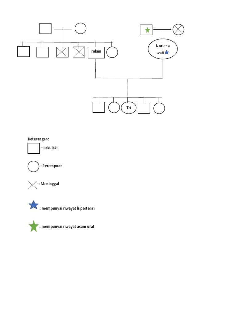 Genogram 3 Generasi | PDF