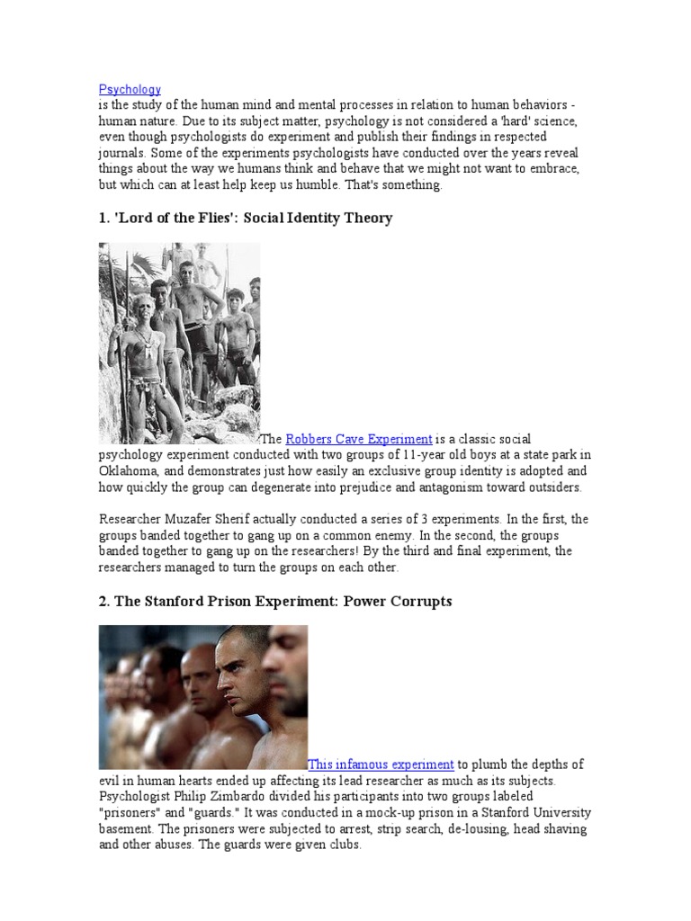 'Lord of The Flies': Social Identity Theory: Psychology | PDF ...