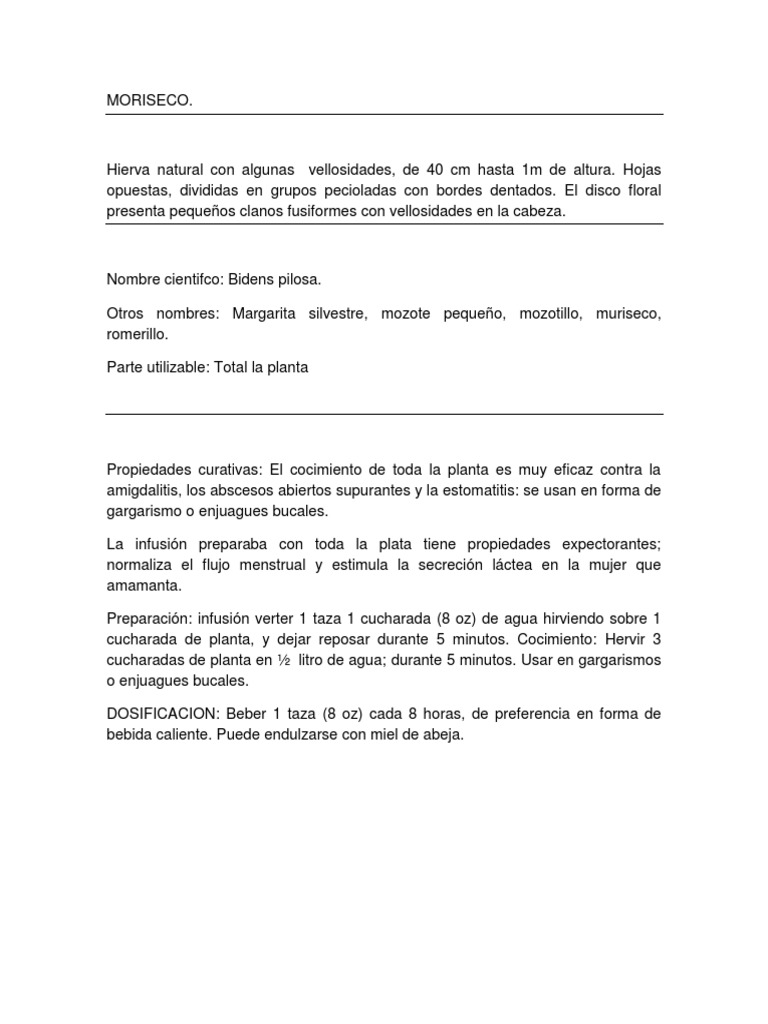 MORISECO | PDF | Patata | Naranja)