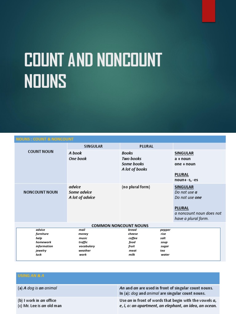Count and Non Count | PDF | Grammatical Number | Noun