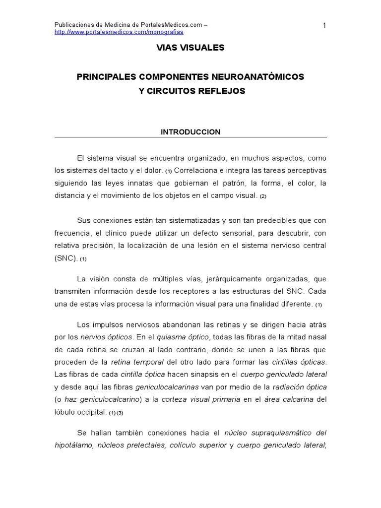 Vías Visuales | PDF | Percepción visual | Sistema nervioso central