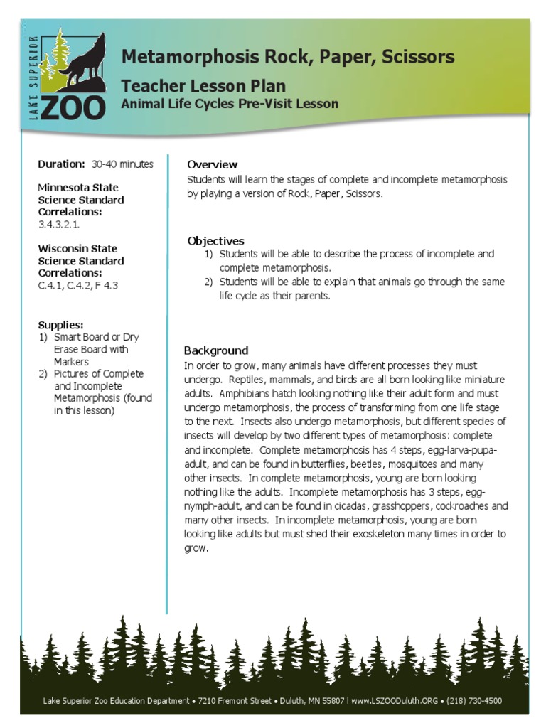 Metamorphosis Rock, Paper, Scissors: Teacher Lesson Plan | PDF | Pupa ...
