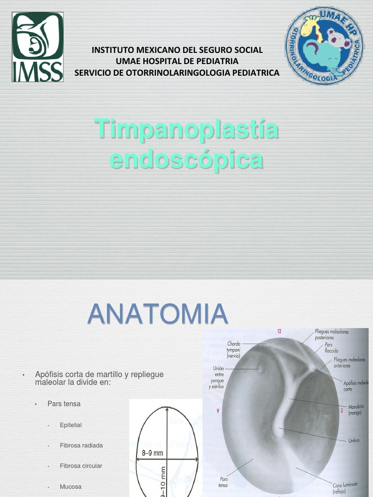 Timpanoplastia | PDF | Sistema Auditorio | Ciencias de la Salud