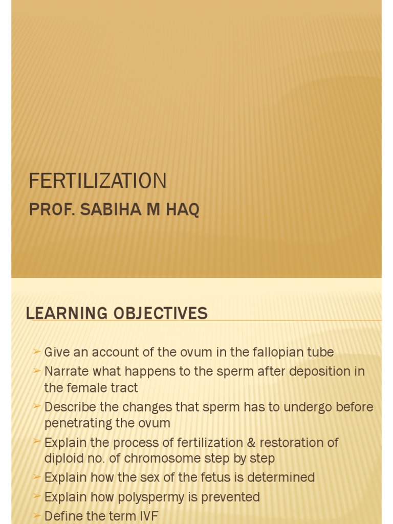 Fertilization PDF | PDF | Fertilisation | Reproduction