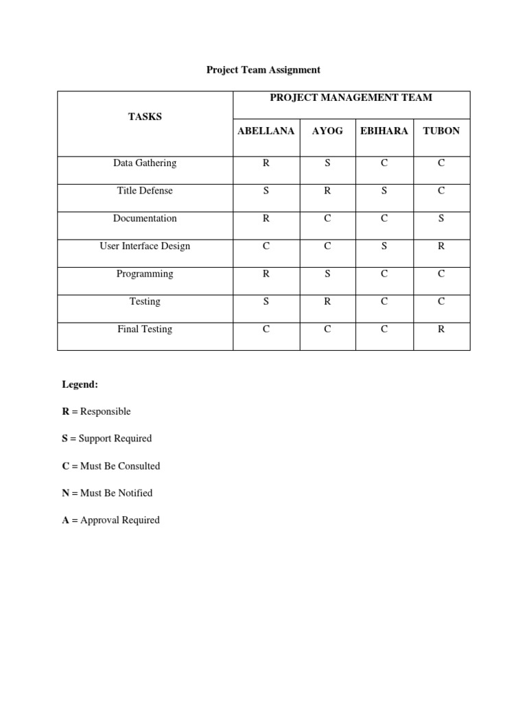 Project Team Assignment | PDF