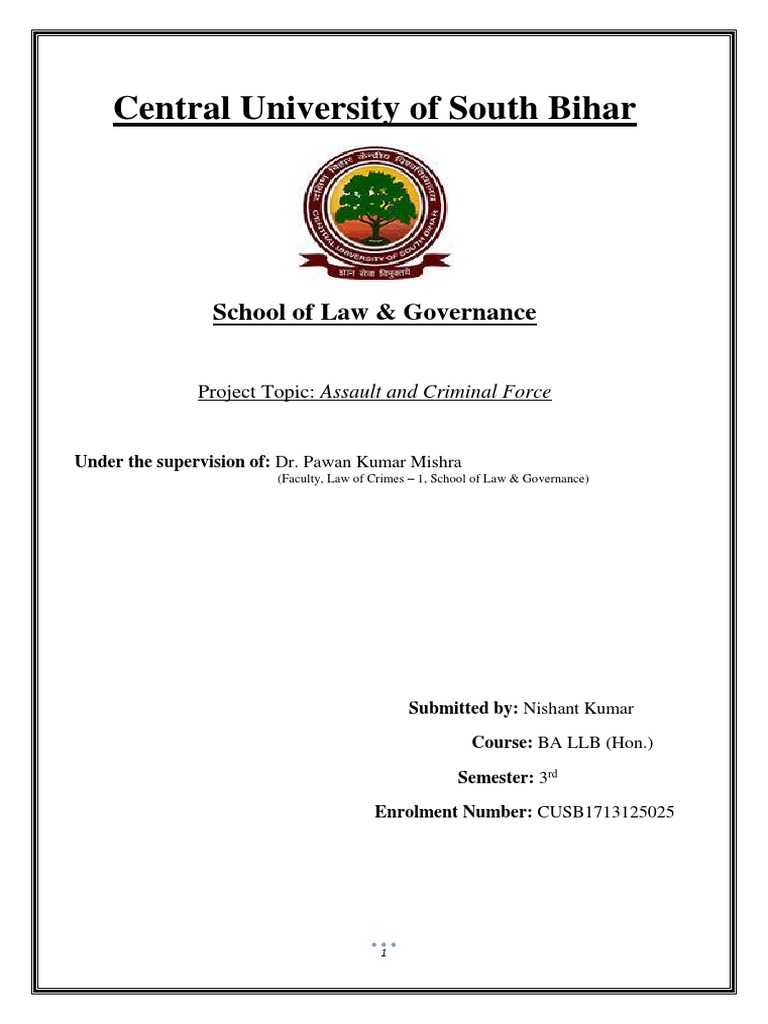 IPC Assignment | PDF | Assault | Battery (Crime)