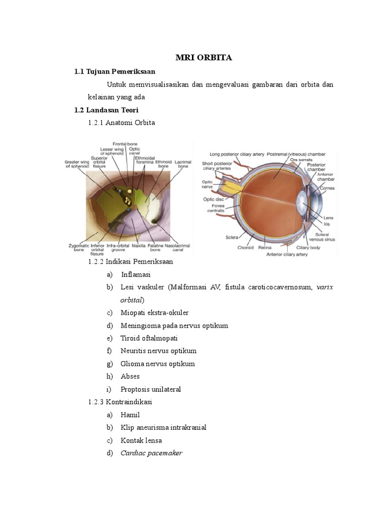 Mri Orbita | PDF